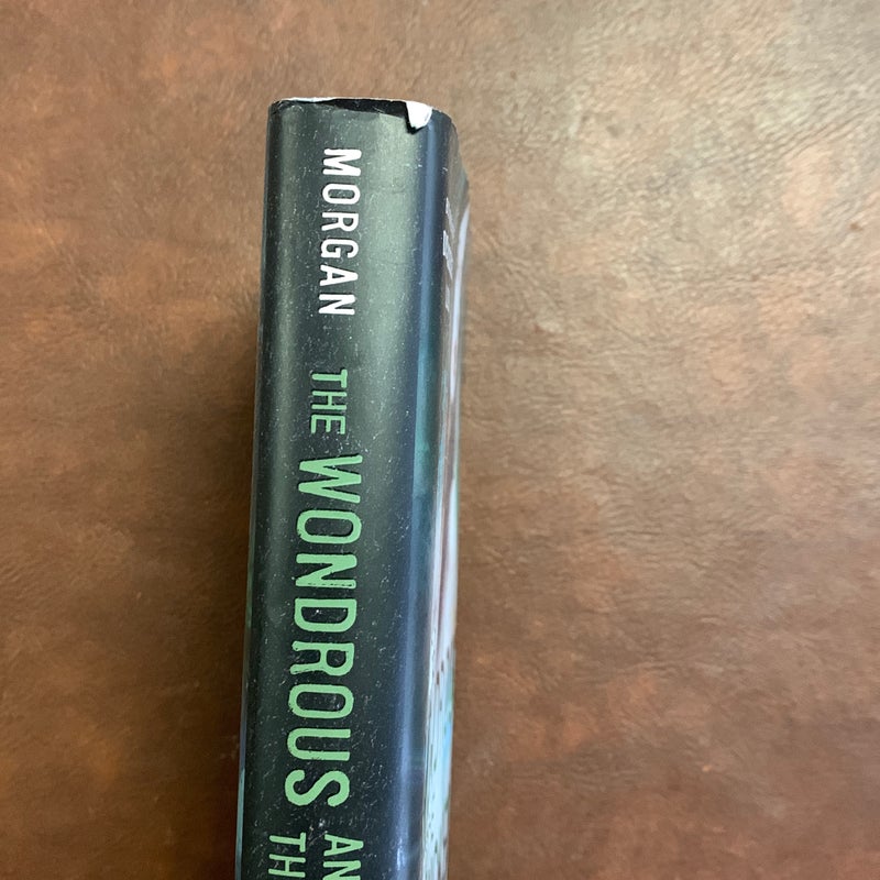 The Wondrous and the Wicked by Page Morgan, Hardcover | Pangobooks