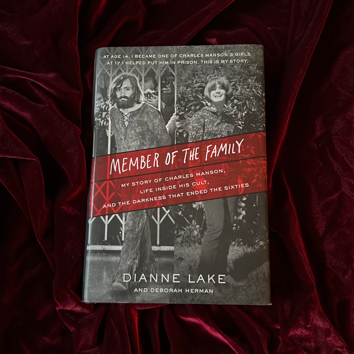 Member of the Family by Dianne Lake, Deborah Herman