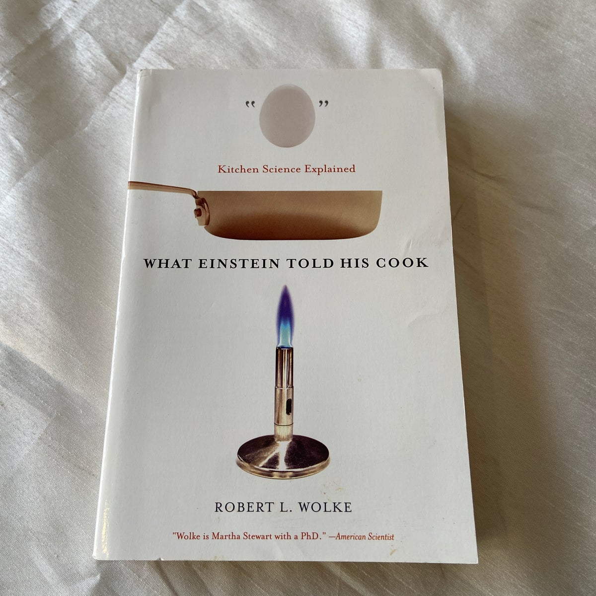 What Einstein Told His Cook by Robert L. Wolke, Paperback | Pangobooks