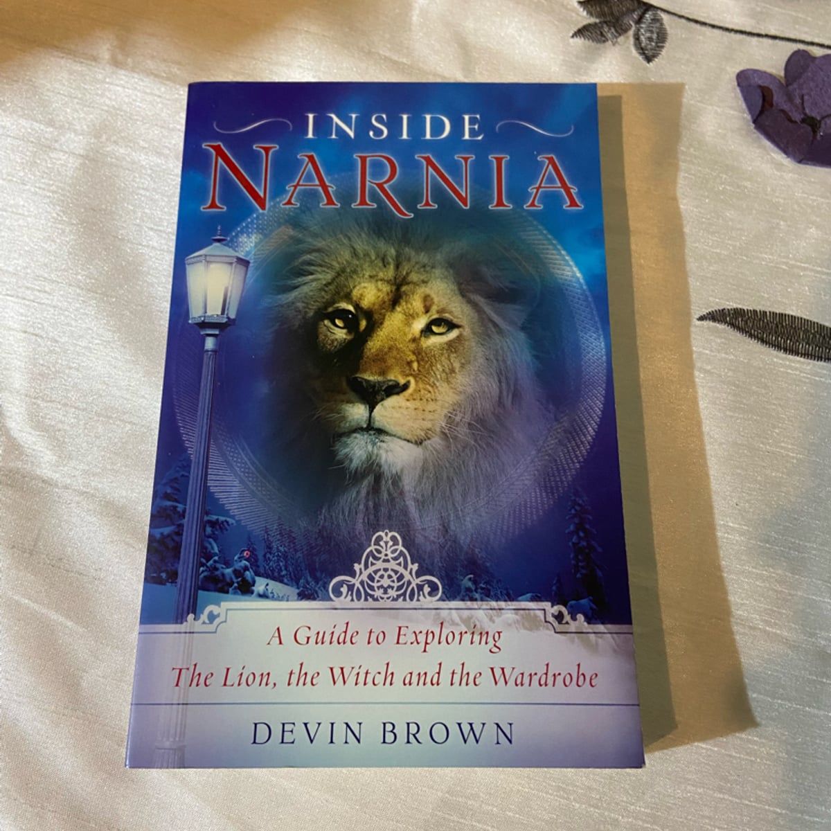Inside Narnia by Devin Brown