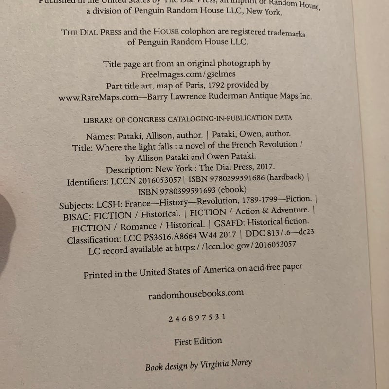 Where the Light Falls by Allison Pataki, Owen Pataki