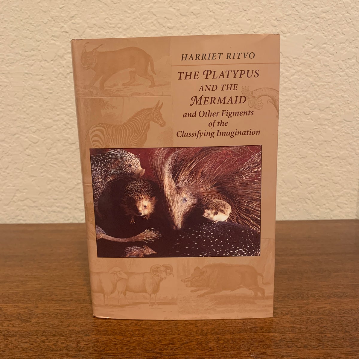 The Platypus and the Mermaid by Harriet Ritvo