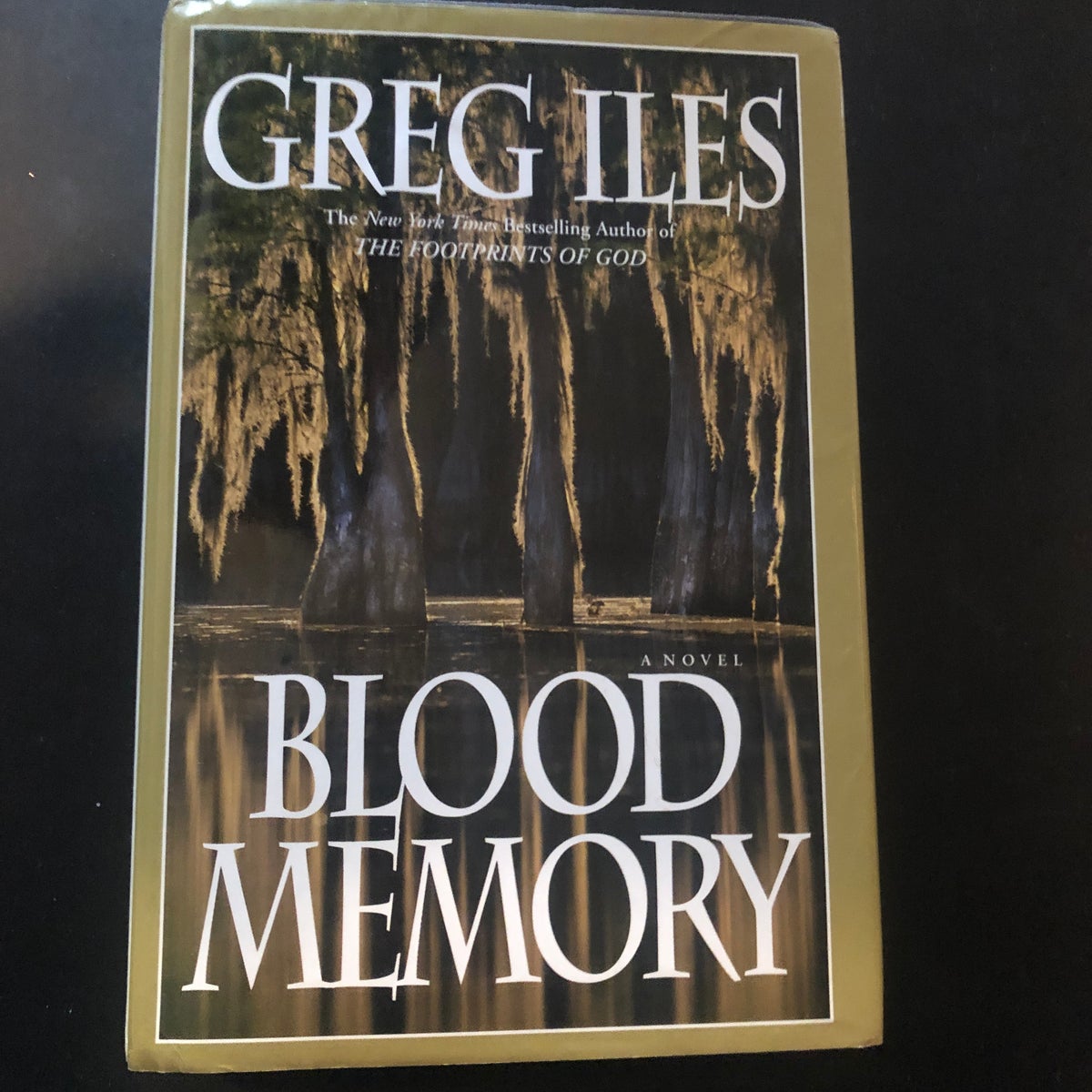 Blood Memory by Greg Iles, Hardcover | Pangobooks