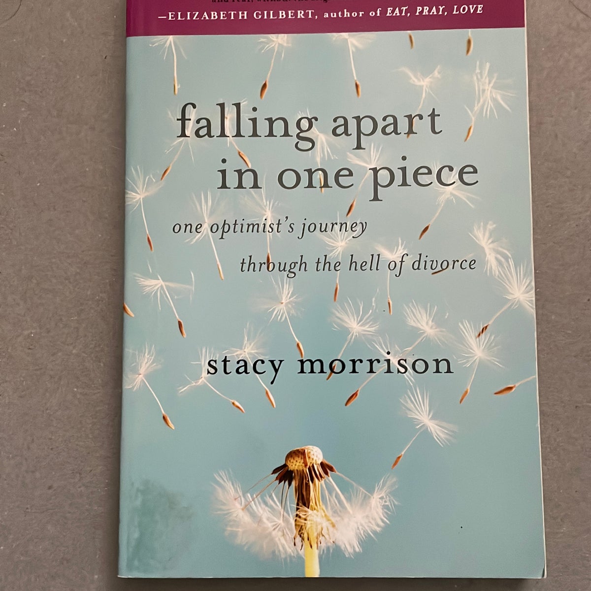 Falling Apart in One Piece by Stacy Morrison, Paperback | Pangobooks