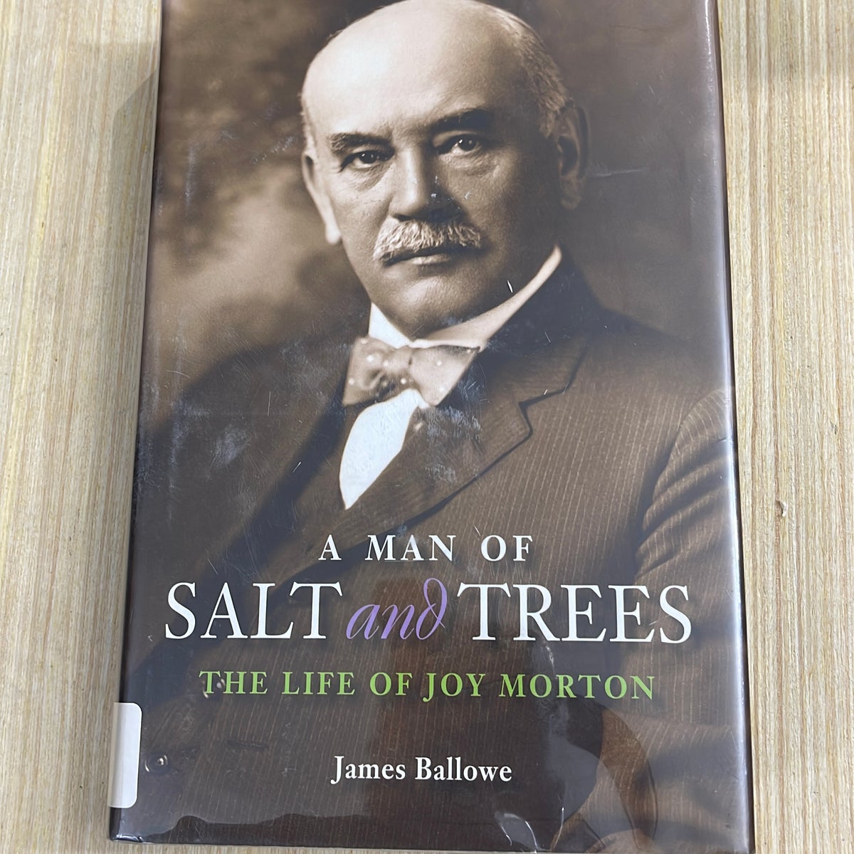 A Man of Salt and Trees by James Ballowe