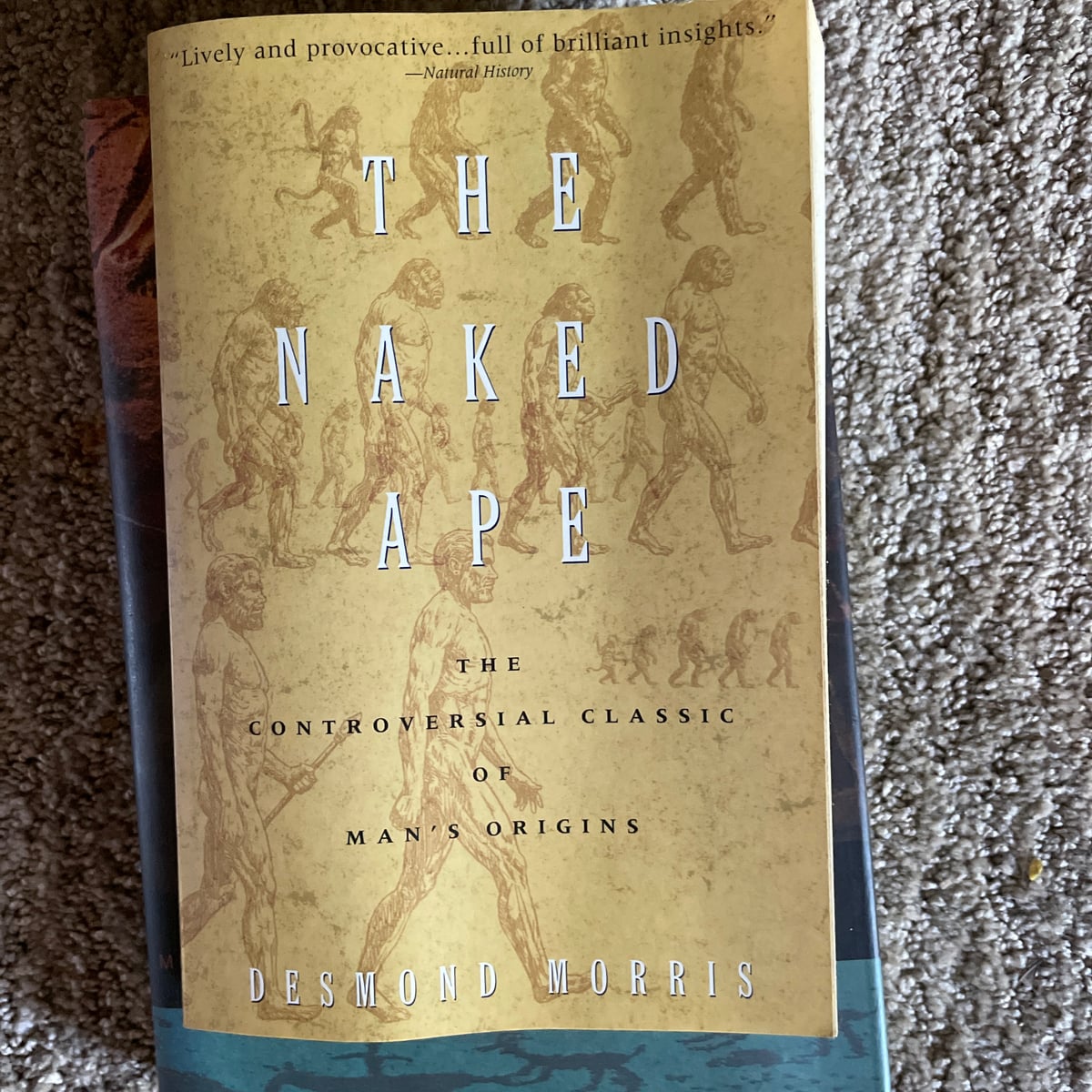 The Naked Ape By Desmond Morris Paperback Pangobooks