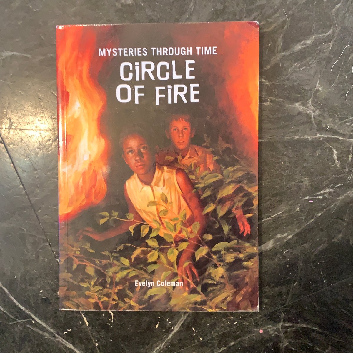 Circle of Fire by Evelyn Coleman