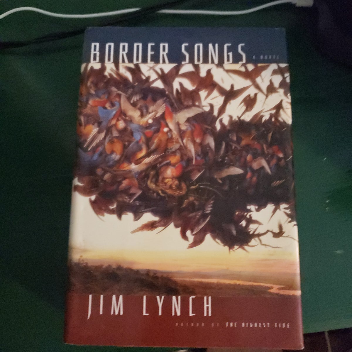 Border Songs by Jim Lynch