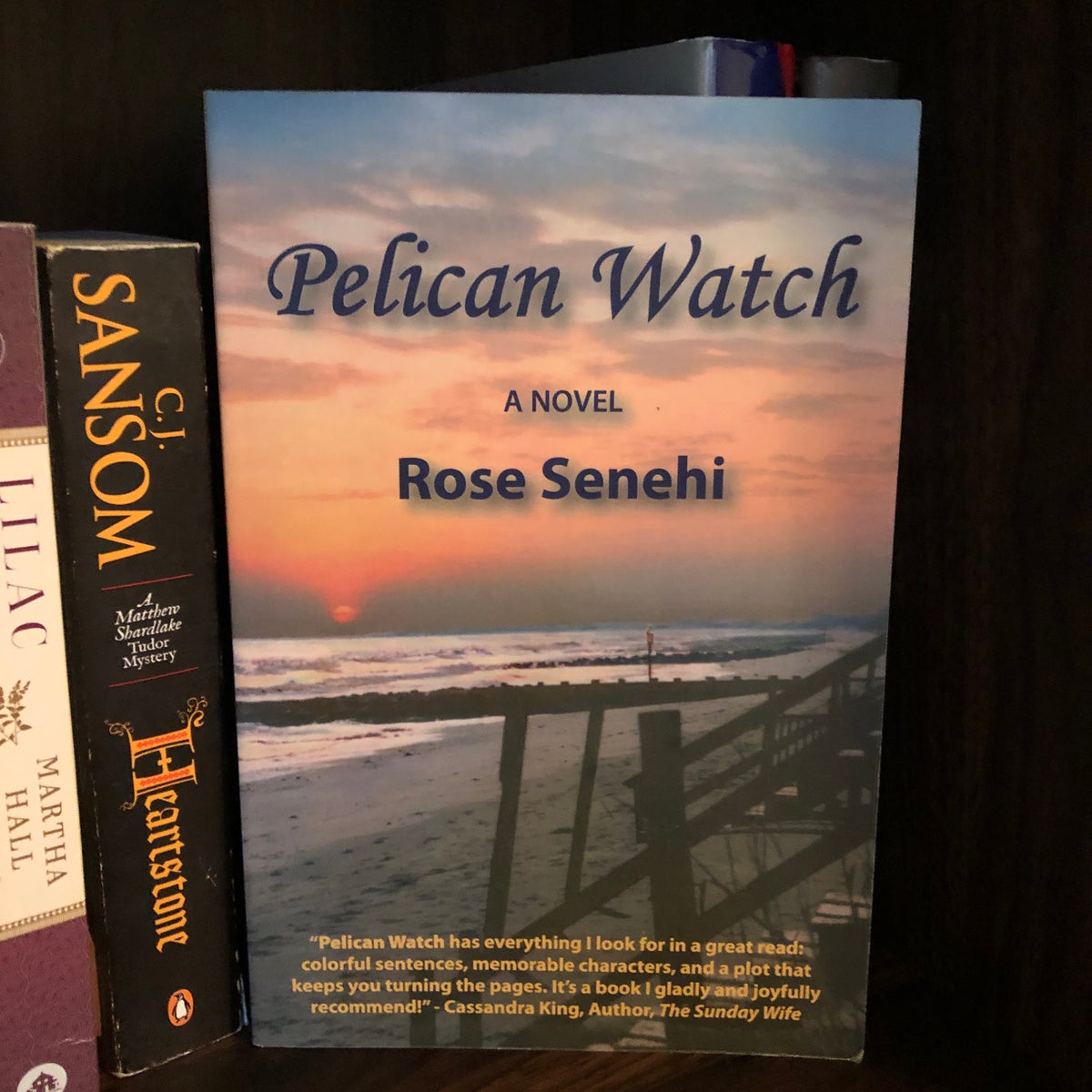 Pelican Watch by Rose Senehi