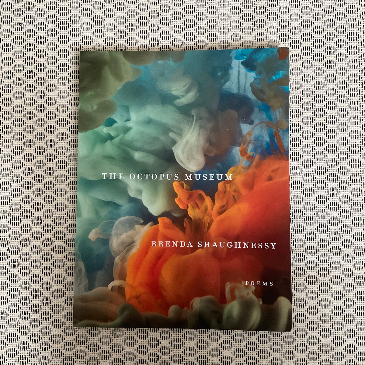 The Octopus Museum by Brenda Shaughnessy