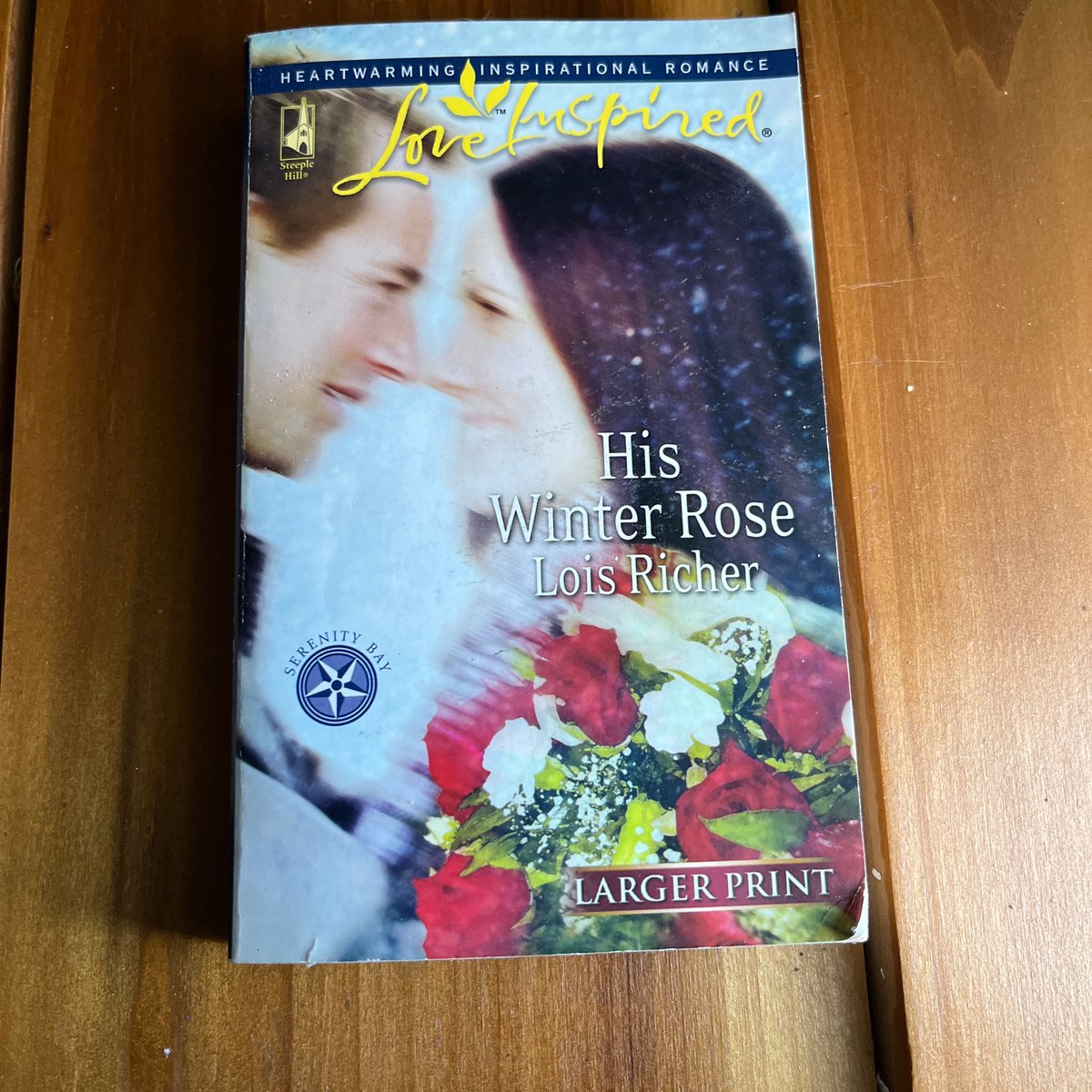 His Winter Rose by Lois Richer