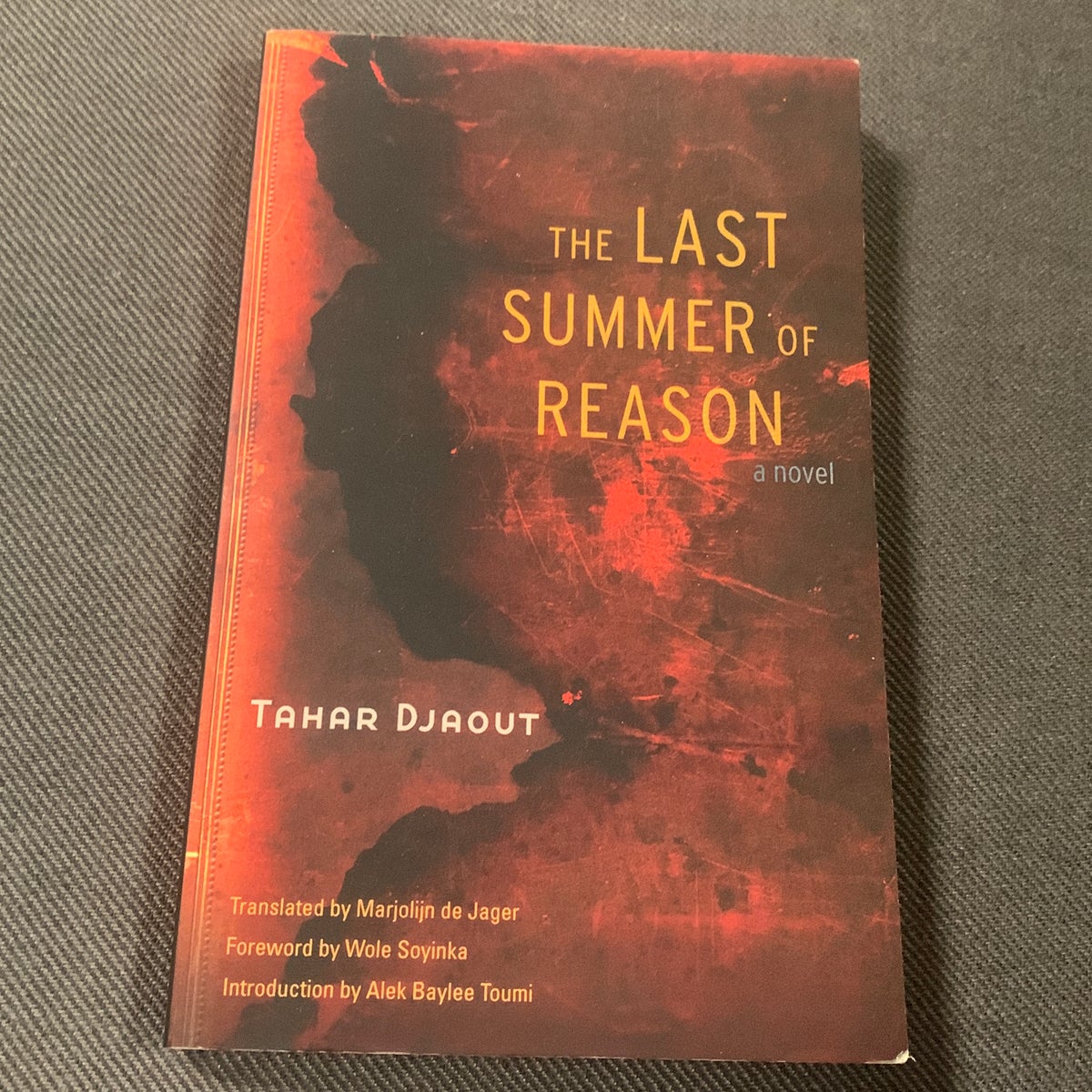 The Last Summer of Reason by Tahar Djaout, Marjolijn de Jager, Alek ...