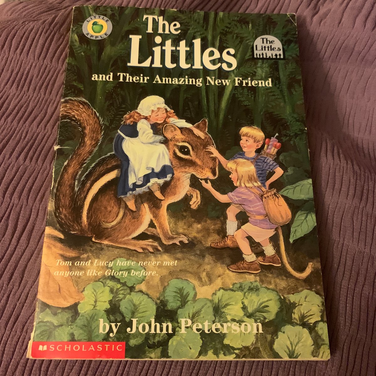 The Littles and Their Amazing New Friend by John Peterson