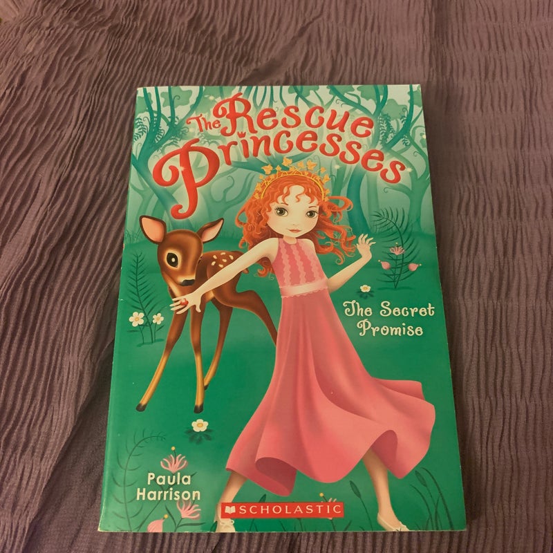 Secret Promise by Paula Harrison