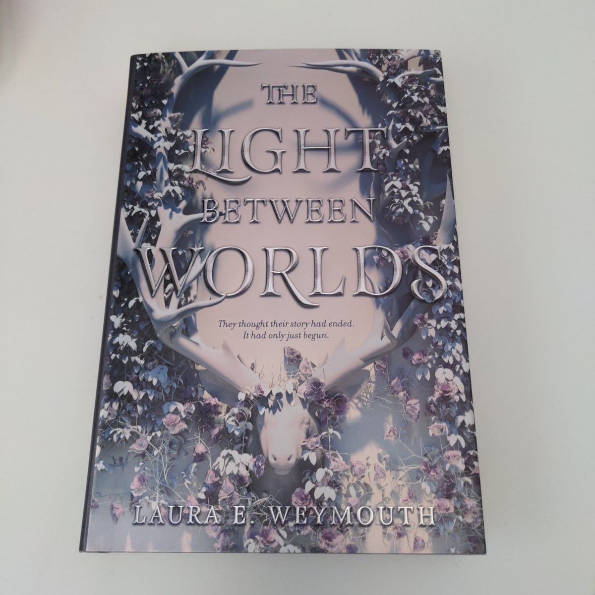 The Light Between Worlds