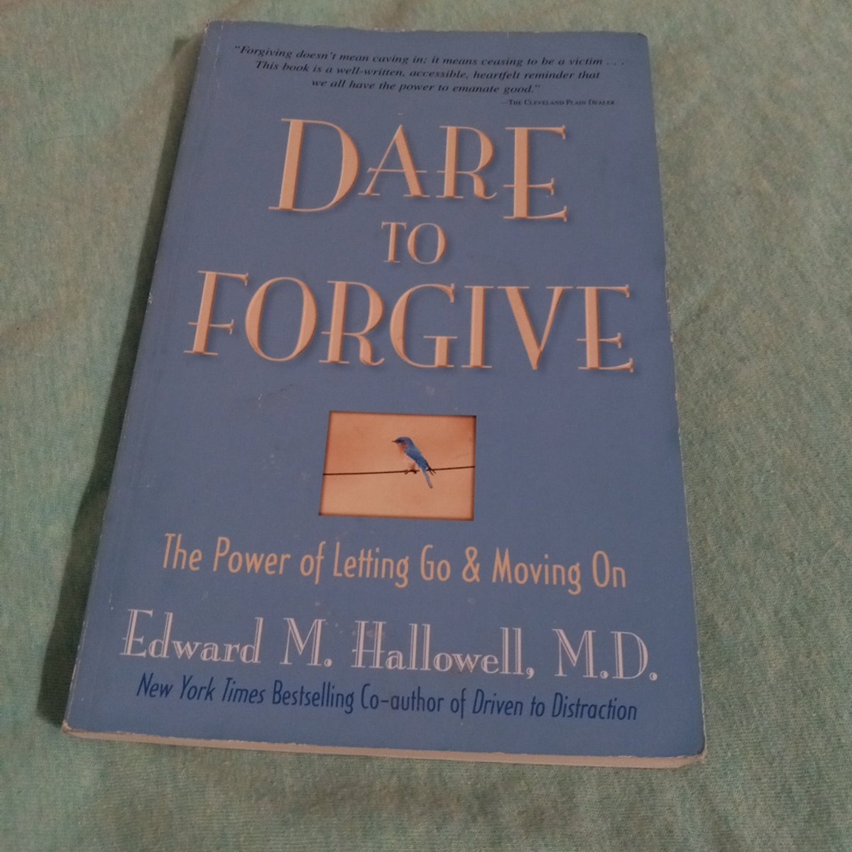 Dare to Forgive by Edward M. Hallowell
