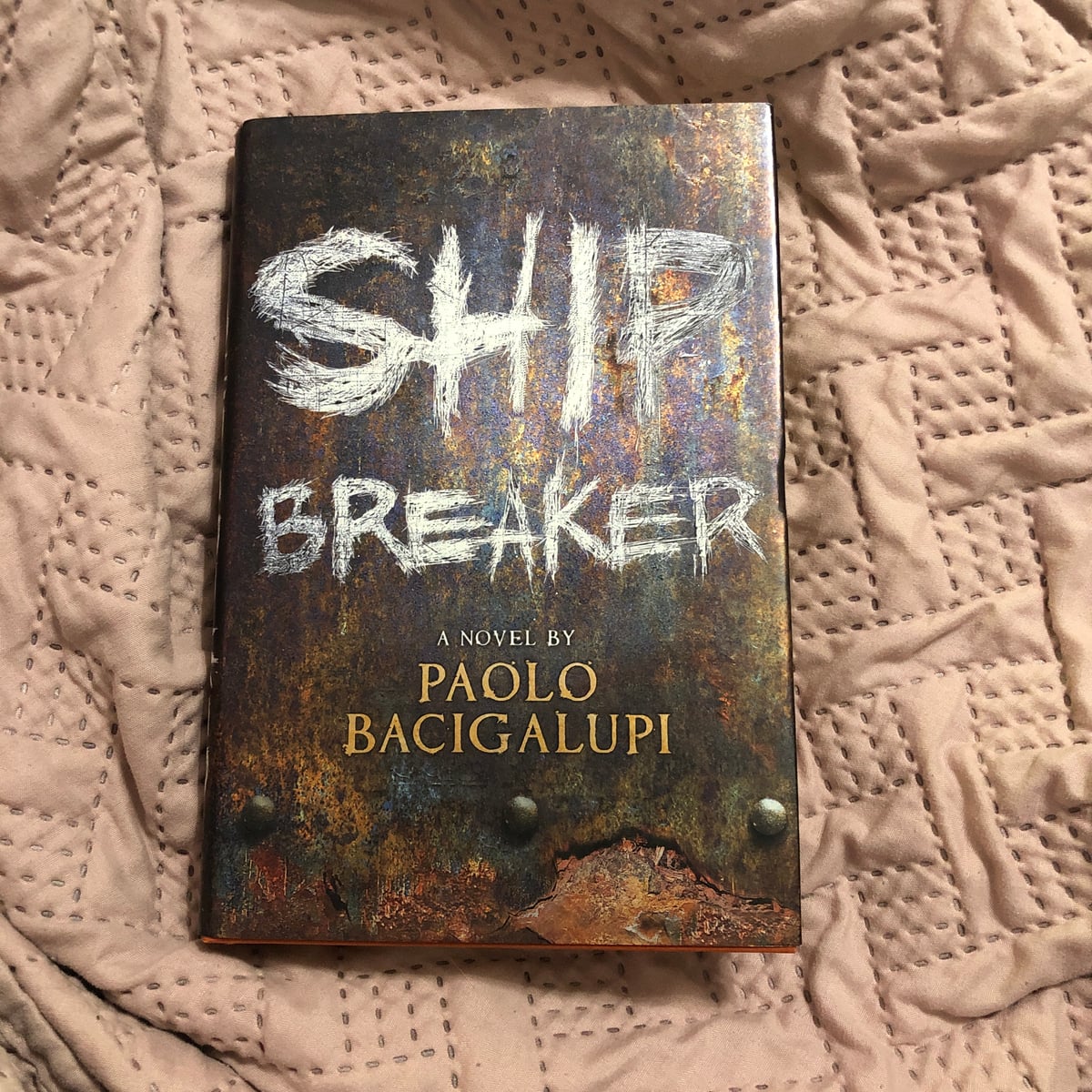 Ship Breaker by Paolo Bacigalupi