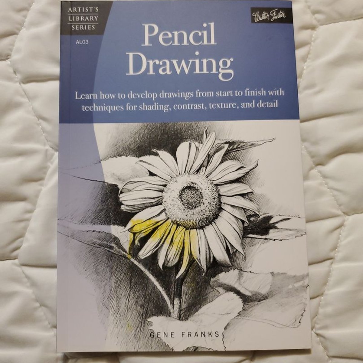 Pencil Drawing (Artist's Library) by Gene Franks