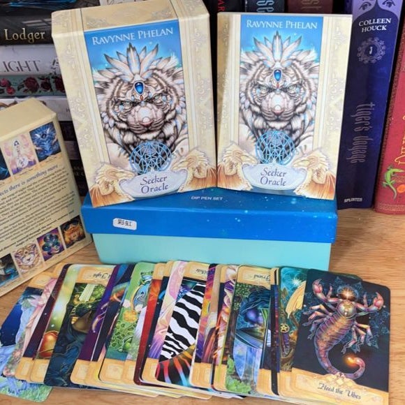 Seeker Oracle by Ravynne Phelan