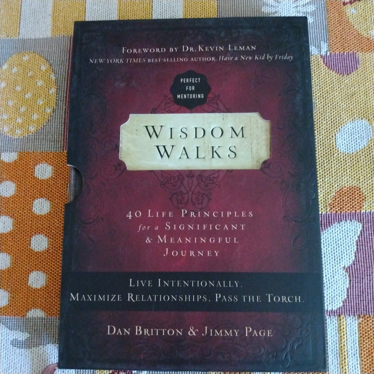 Wisdom Walks by Dan Britton