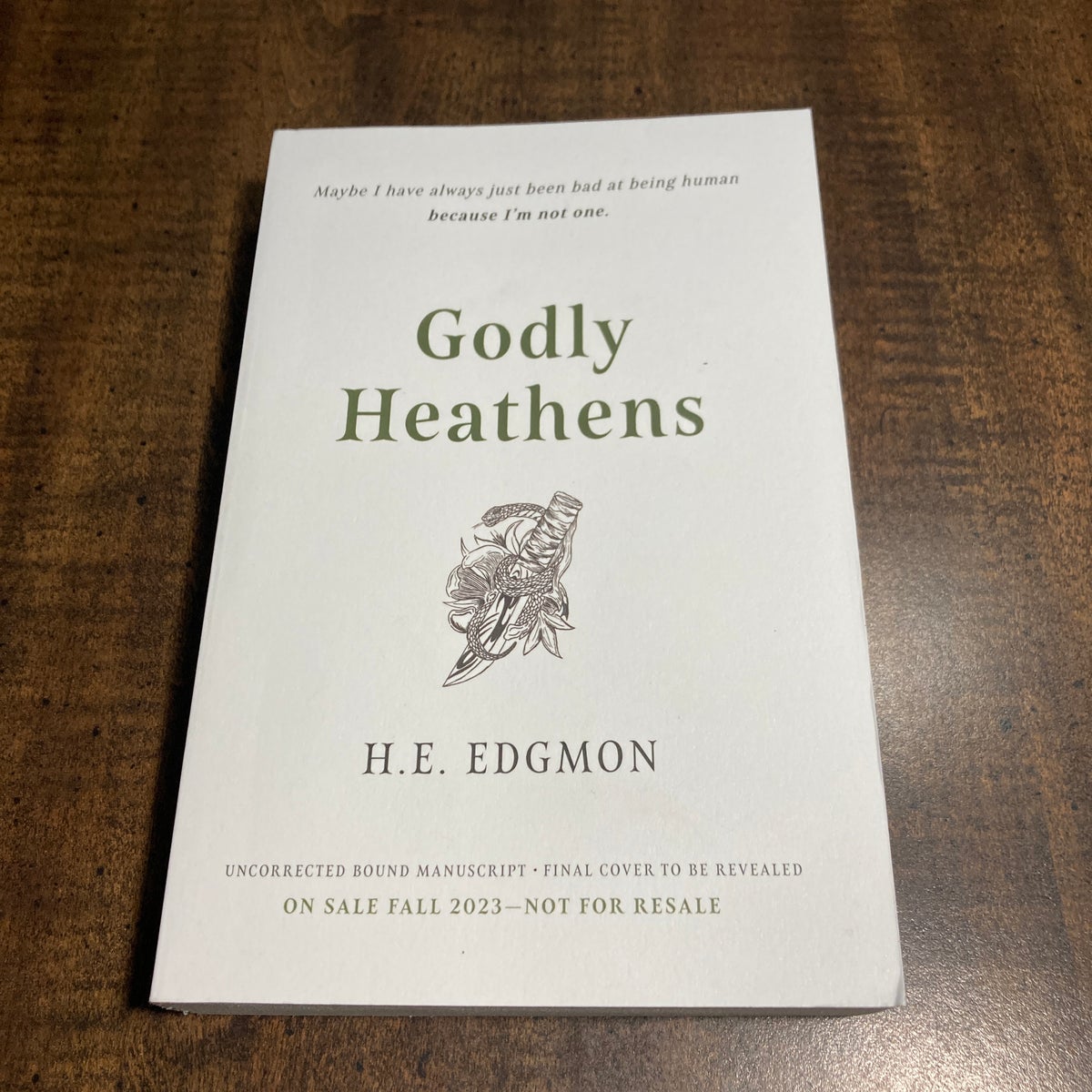 Godly Heathens by H.E. Edgmon, Paperback | Pangobooks