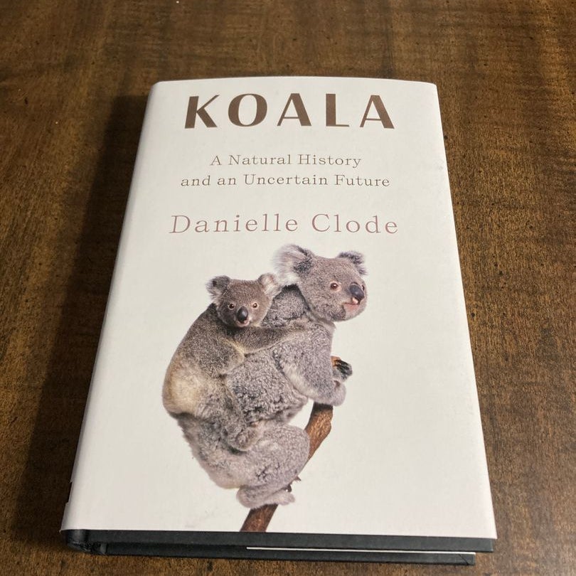 Koala by Danielle Clode