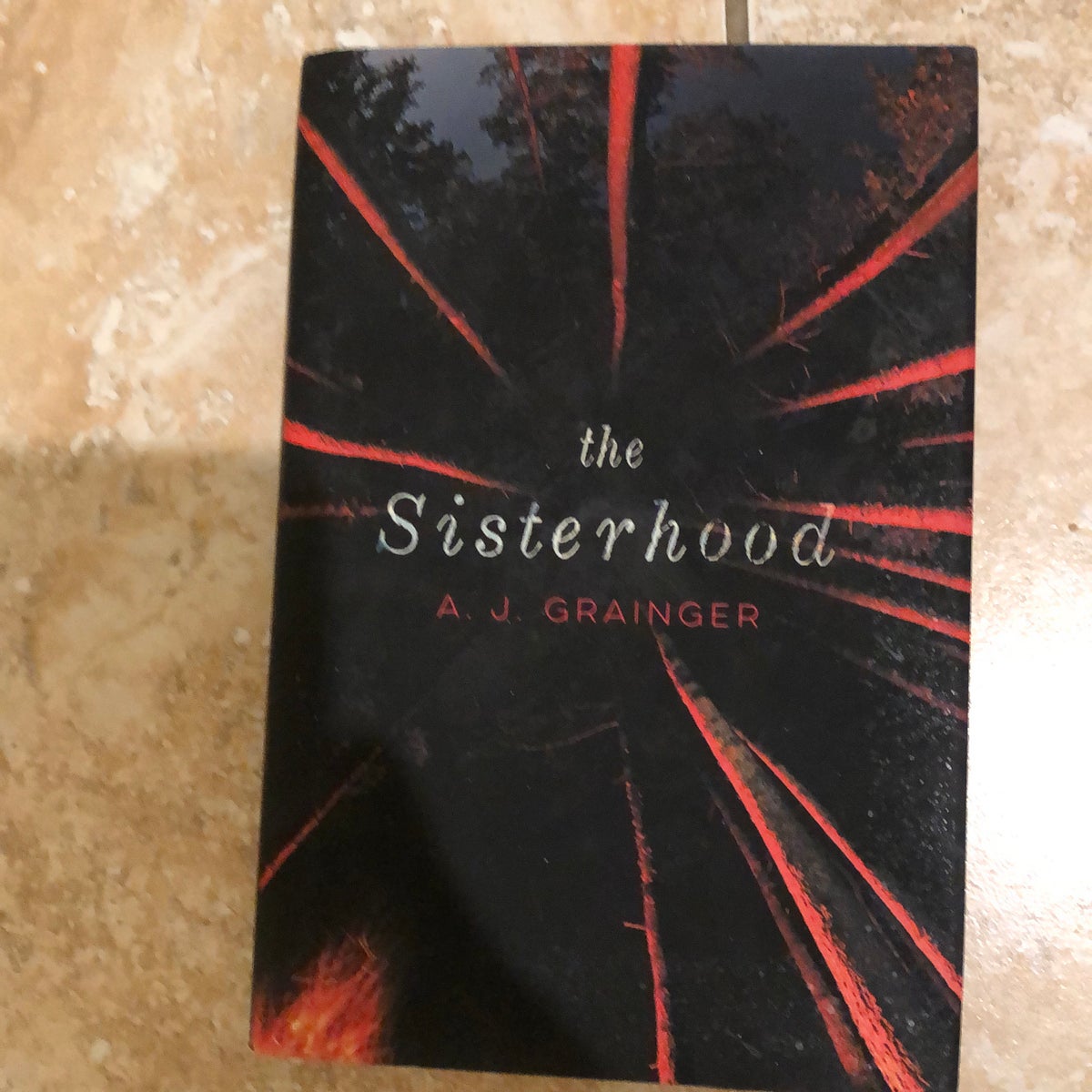 The Sisterhood by A. J. Grainger