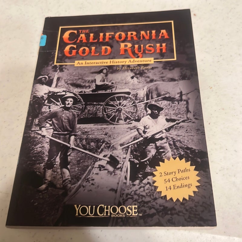 The California Gold Rush by Elizabeth Raum
