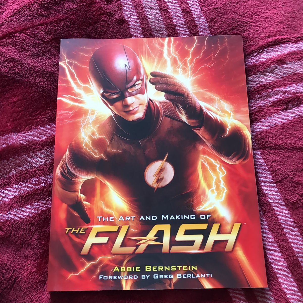 The Art and Making of the Flash by Abbie Bernstein