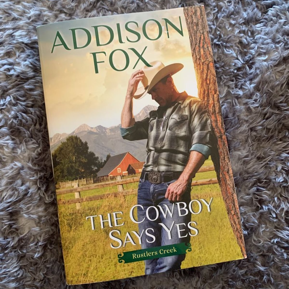 The Cowboy Says Yes by Addison Fox