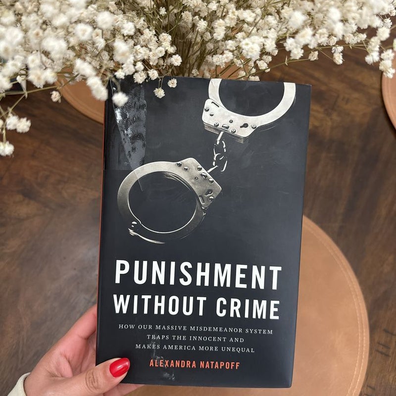 Punishment Without Crime by Alexandra Natapoff