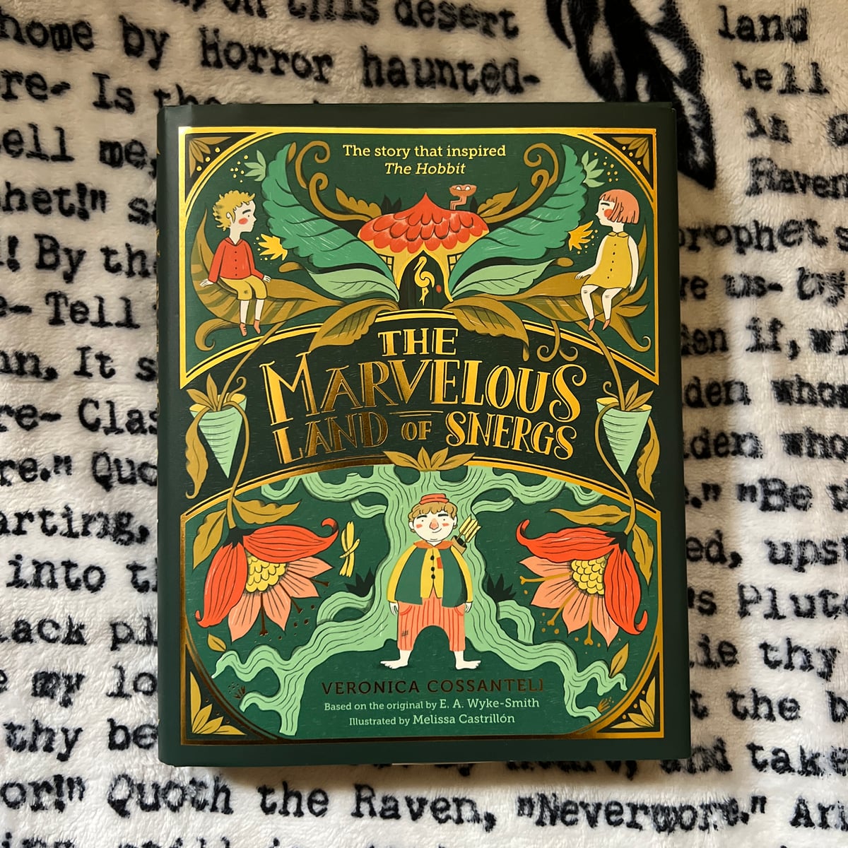 The Marvelous Land of Snergs by Veronica Cossanteli