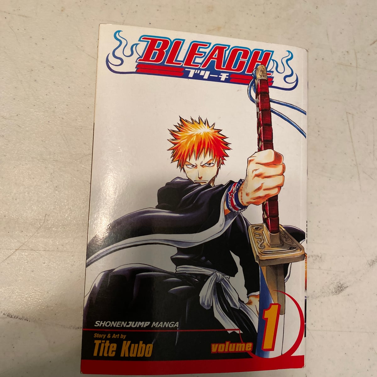 Bleach, Vol. 1