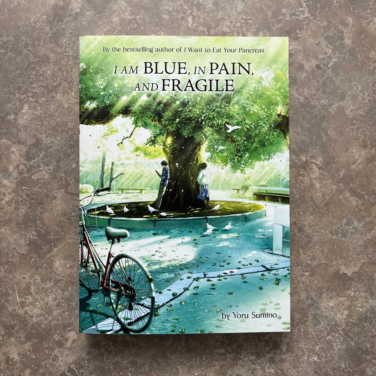 I Am Blue, in Pain, and Fragile (Light Novel) by Yoru Sumino