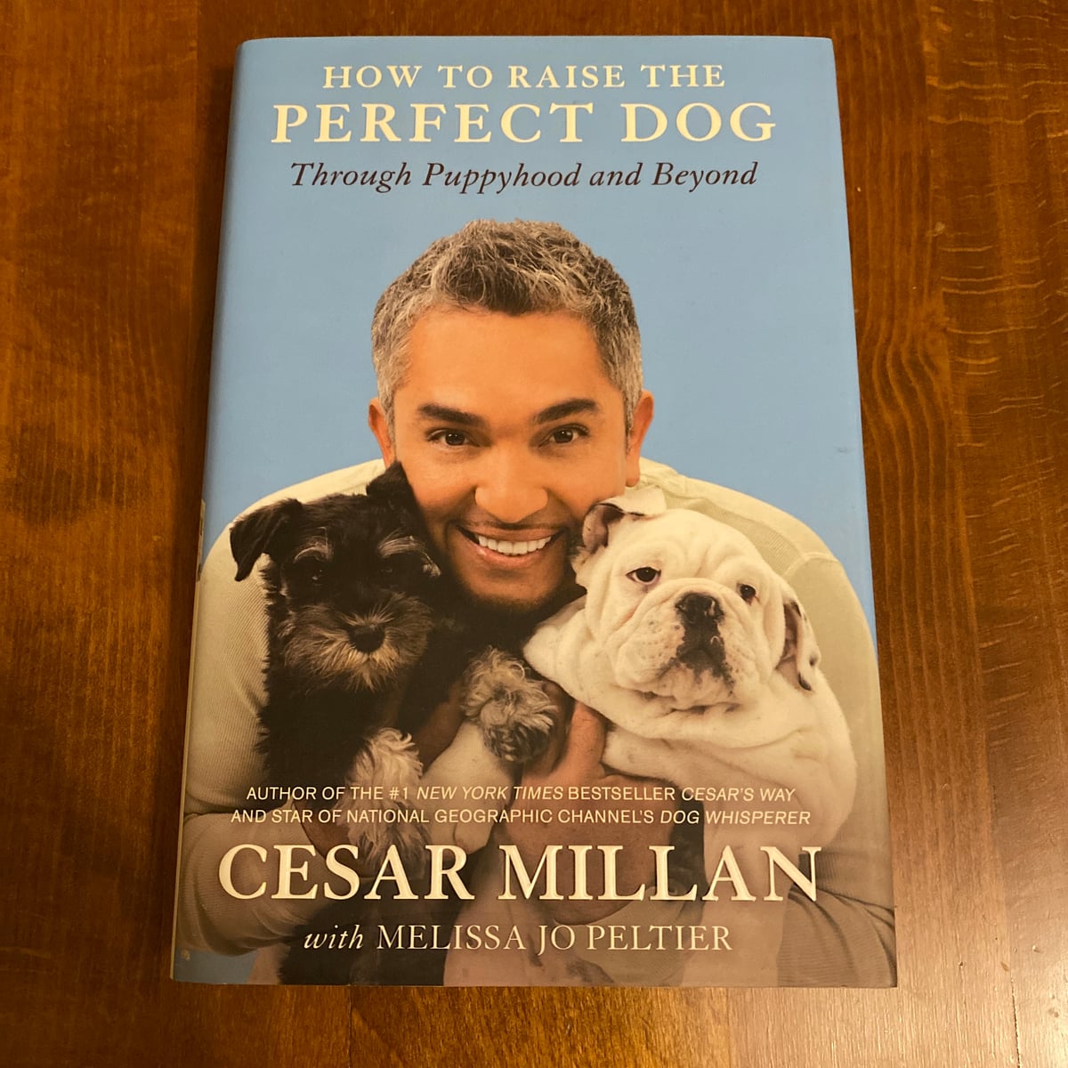 How to Raise the Perfect Dog