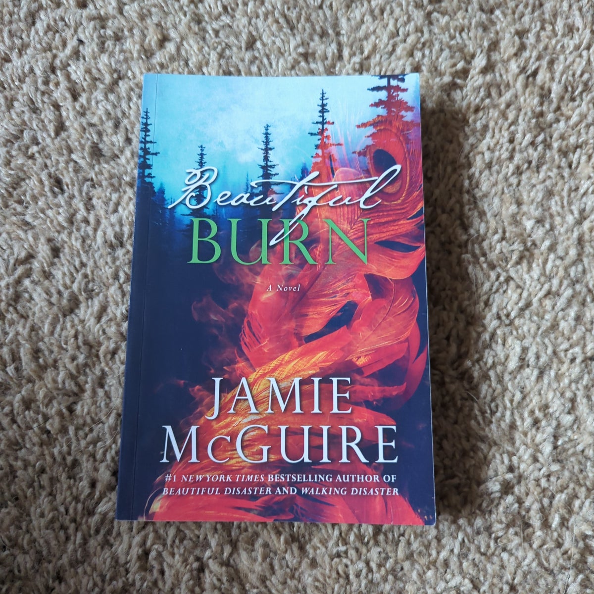 Beautiful Burn by Jamie McGuire
