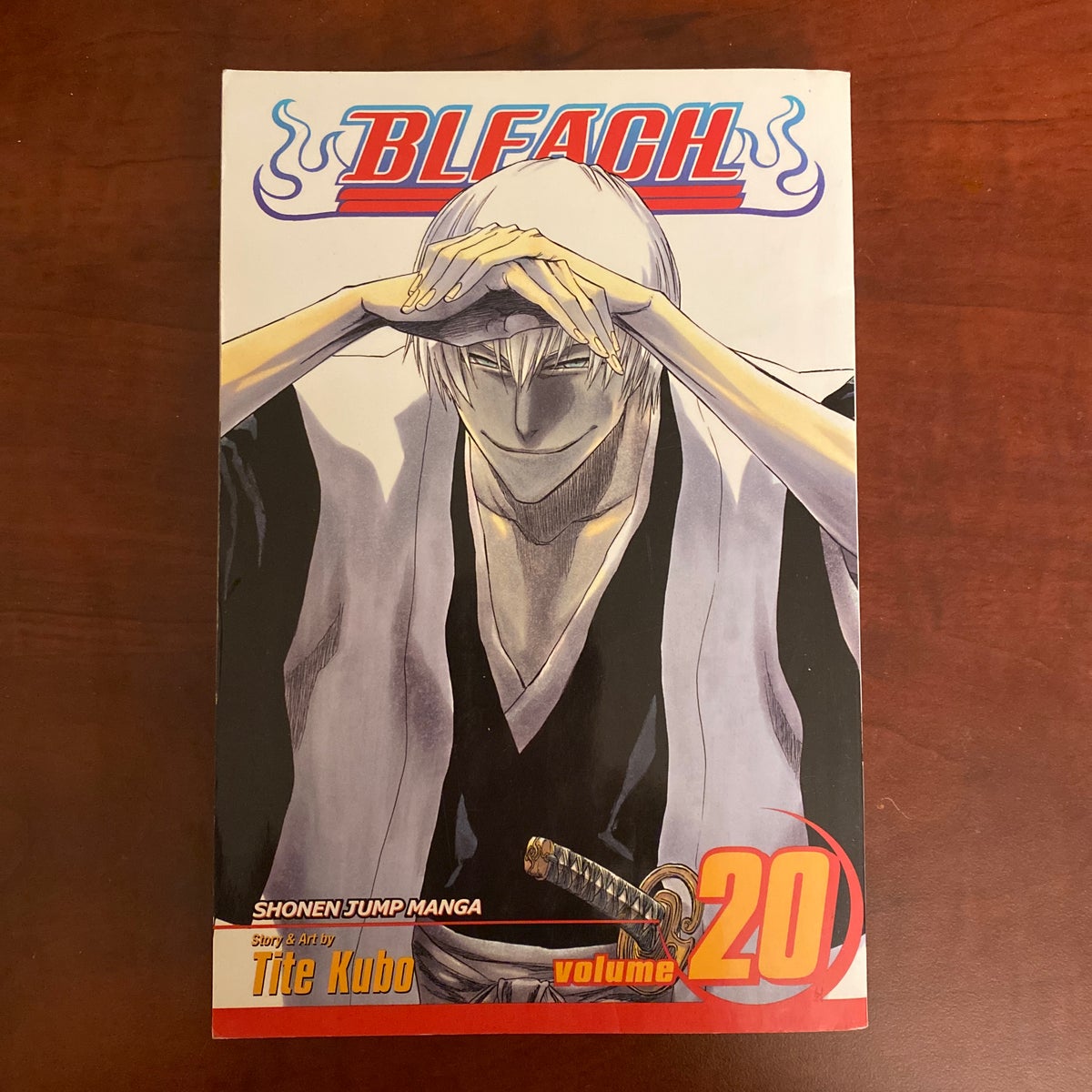 Bleach, Vol. 20
