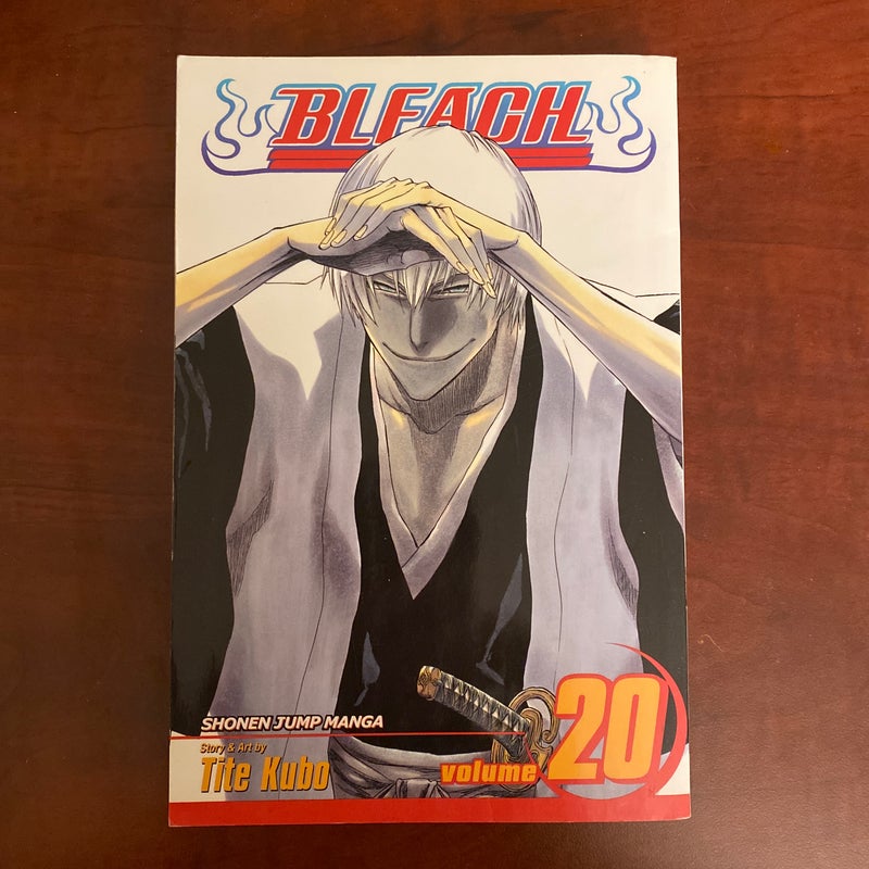 Bleach, Vol. 20