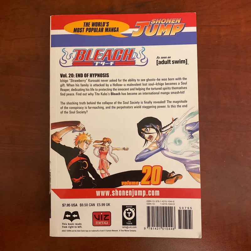 Bleach, Vol. 20