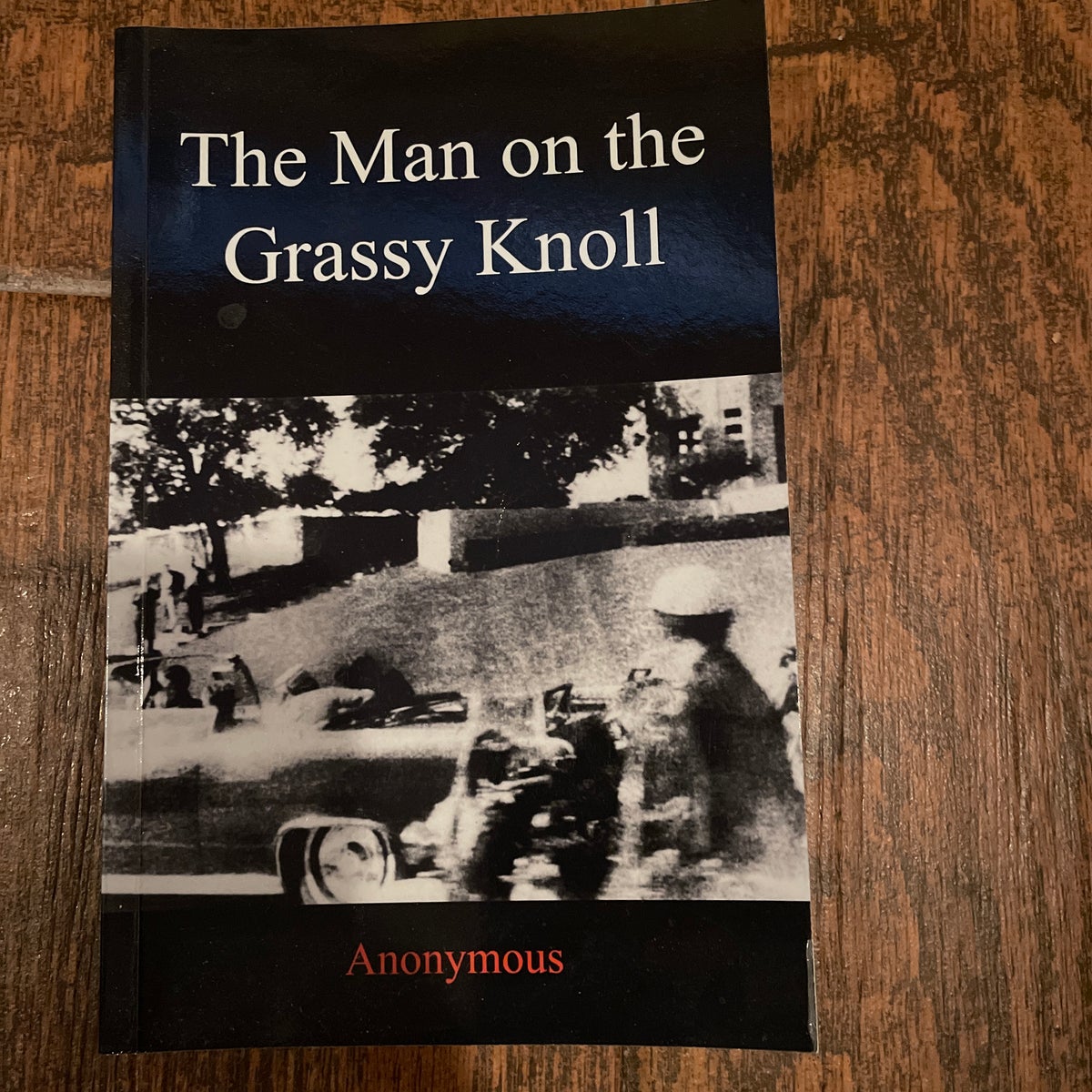 The Man on the Grassy Knoll by Anonymous