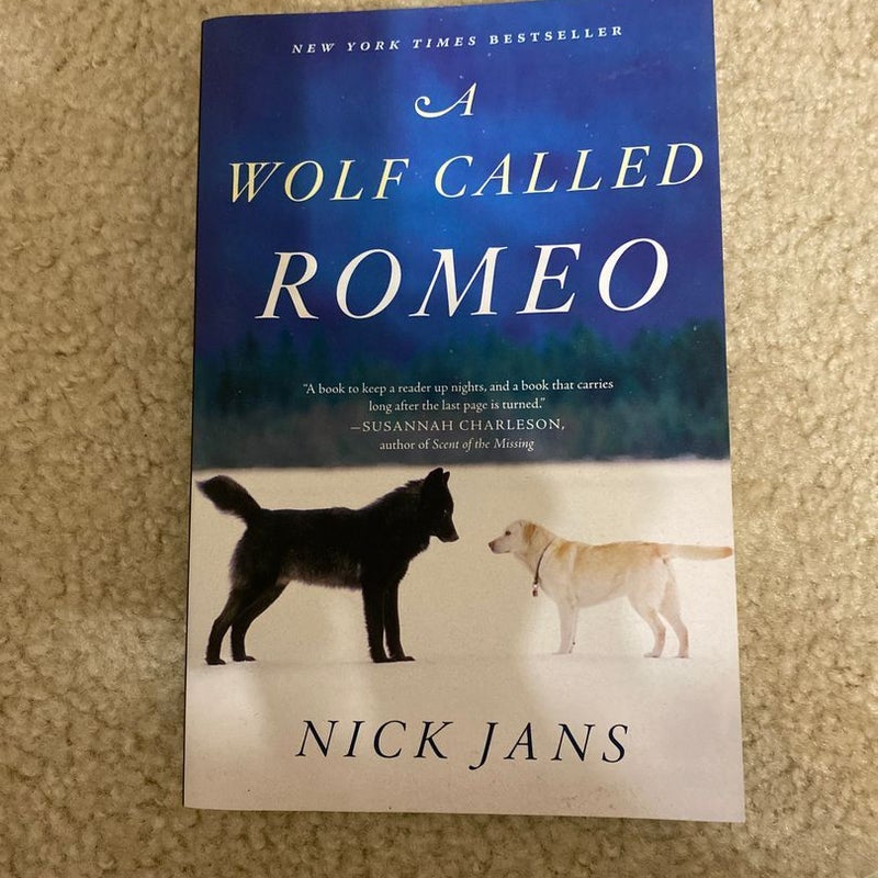A Wolf Called Romeo