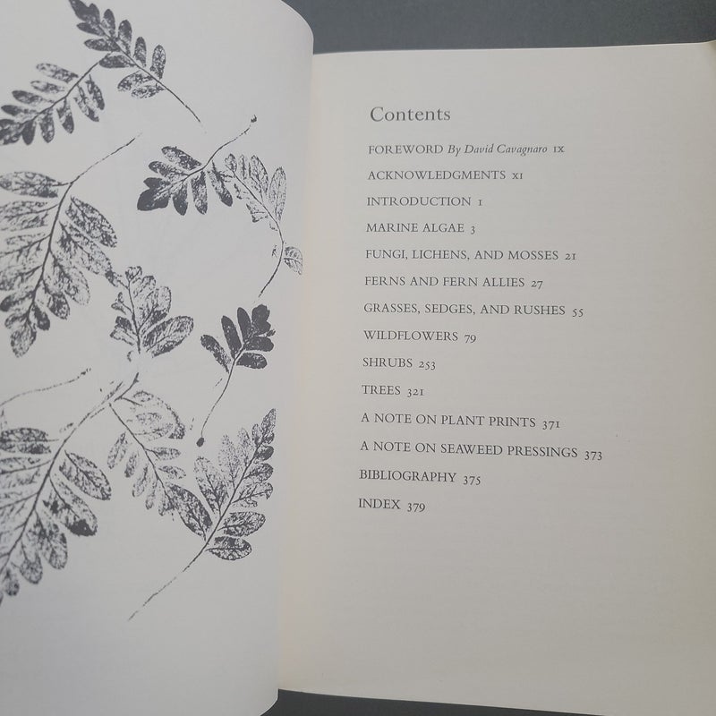 The Leaf Book by Ida Geary | Pangobooks