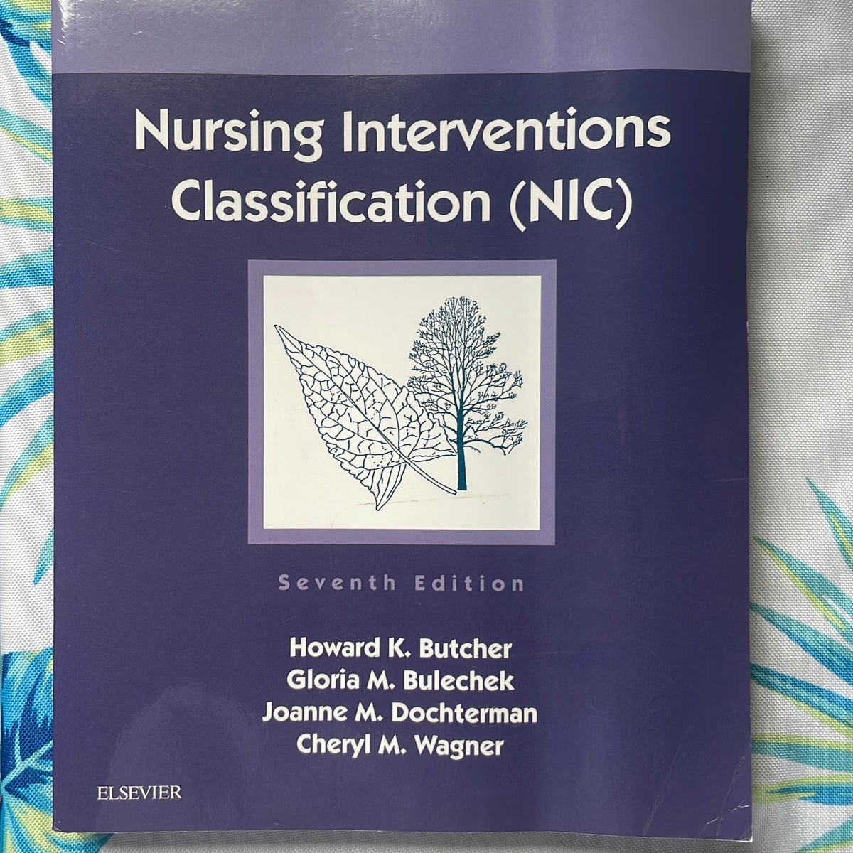 Nursing Interventions Classification (NIC) by Howard K. Butcher, Gloria ...