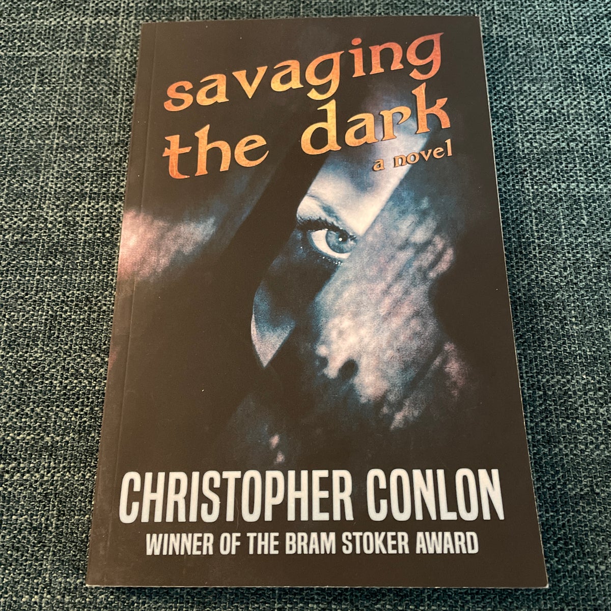 Savaging the Dark by Christopher Conlon