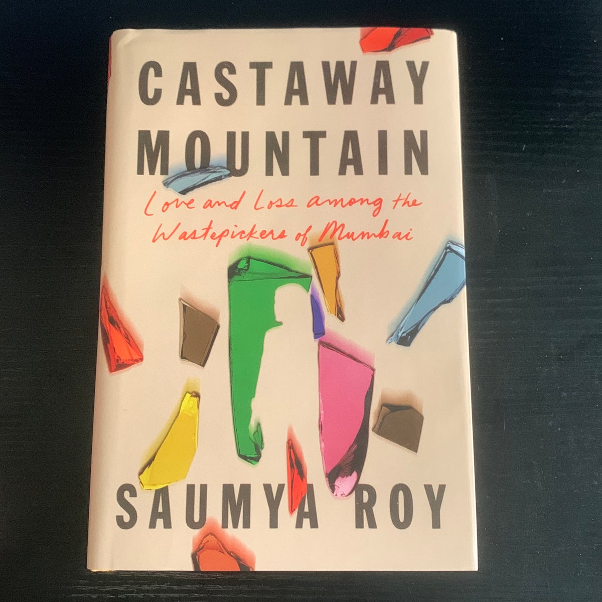 Castaway Mountain by Saumya Roy