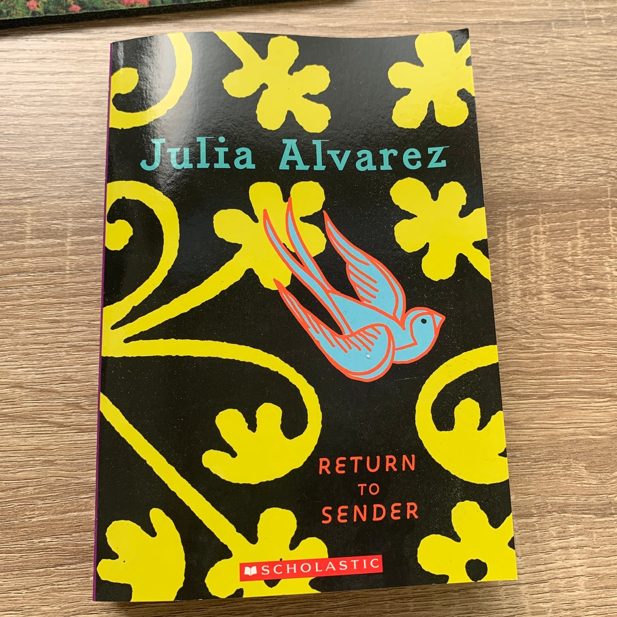 Return to Sender by Julia Alvarez, Paperback | Pangobooks