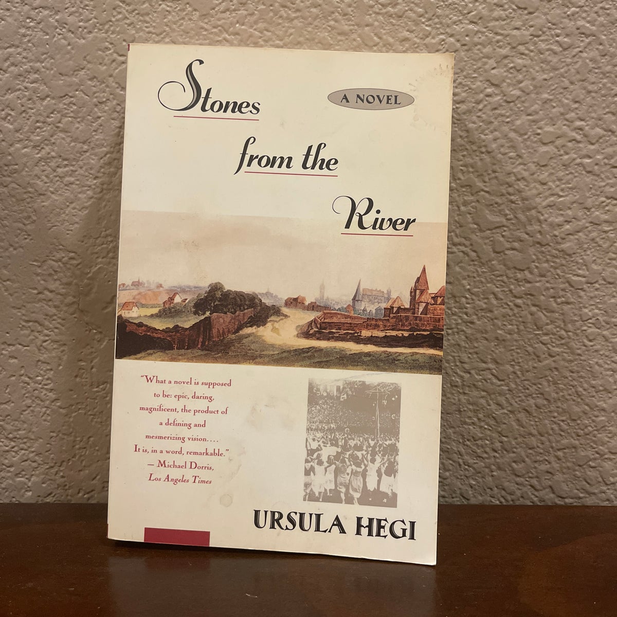 Stones from the River by Ursula Hegi