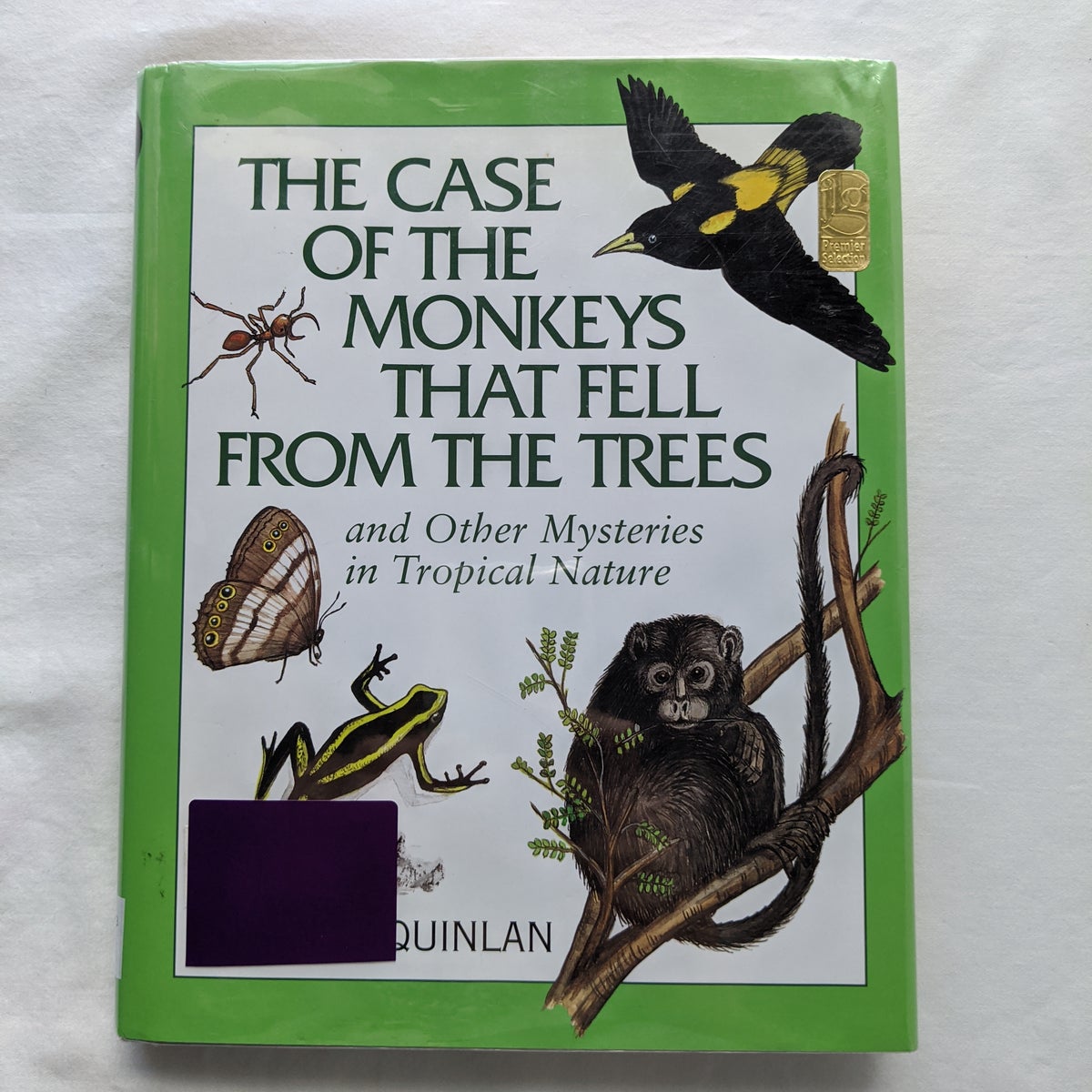 Case of the Monkeys That Fell from the Trees