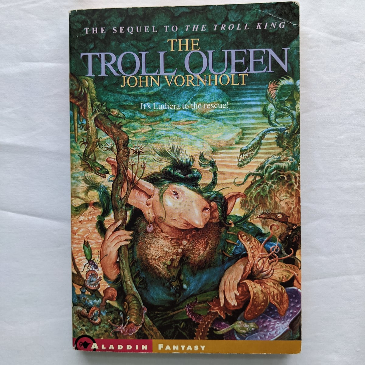The Troll Queen by John Vornholt, Paperback | Pangobooks