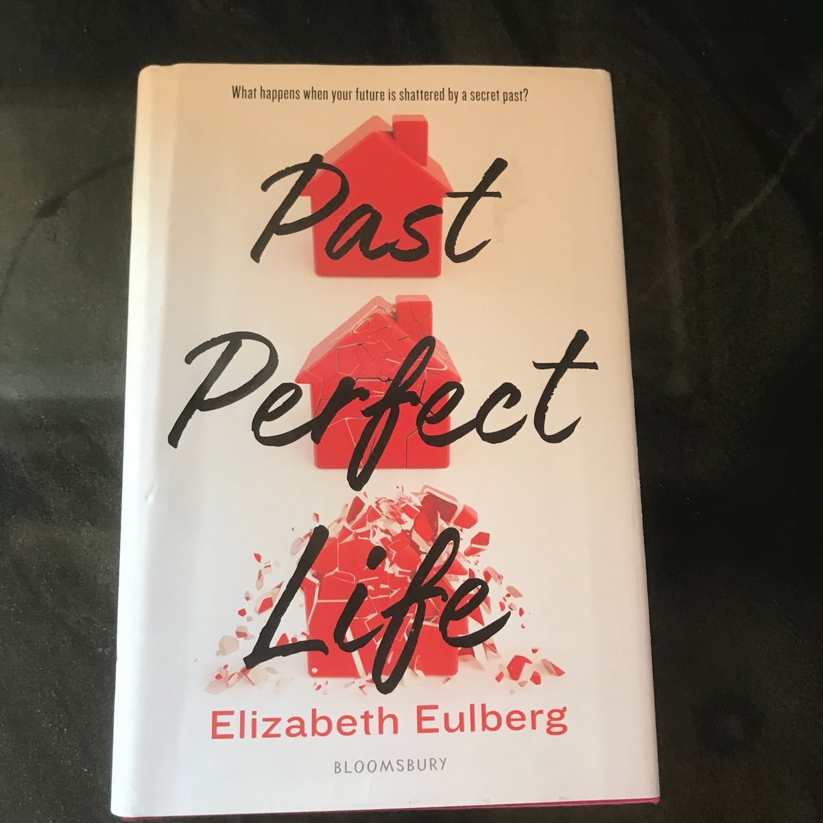 Past Perfect Life by Elizabeth Eulberg